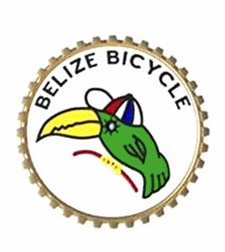 Belize Bicycle® Trikes, Tandems & Specialty Bikes – eSpecial Needs